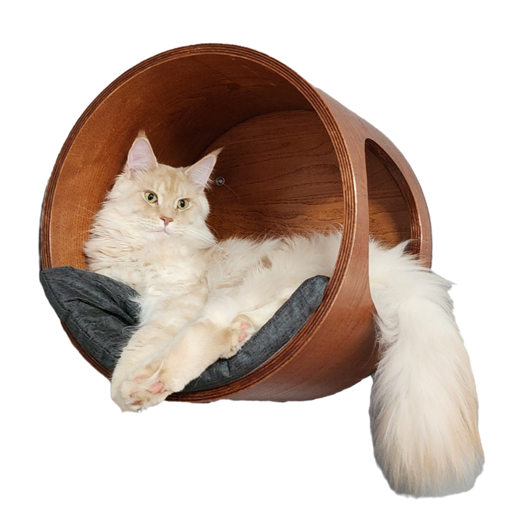 Ottawa's Smart Cat Products: Elevating Feline Care Across Canada | 3 ...